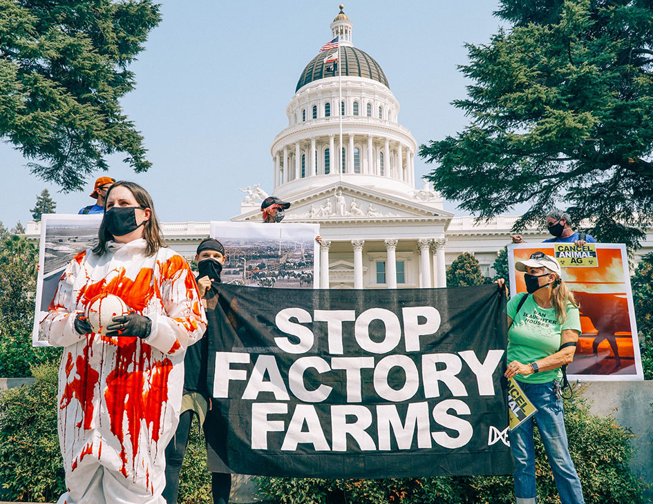 Home 6 – Amahlathi